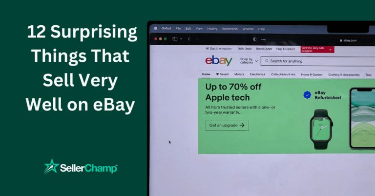 12 Surprising Things That Sell Very Well on eBay