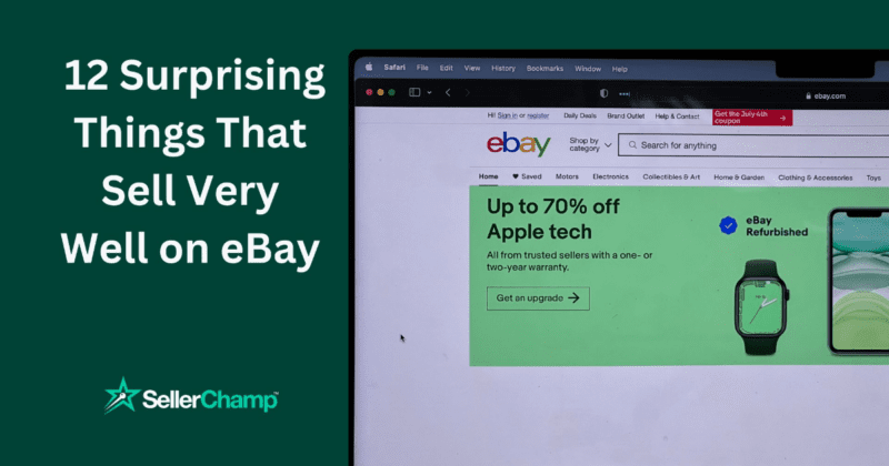 12 Surprising Things That Sell Very Well on eBay
